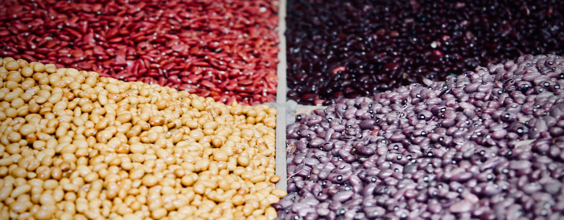 Natural Food SRL – Solución integral a la comercialización de granos.